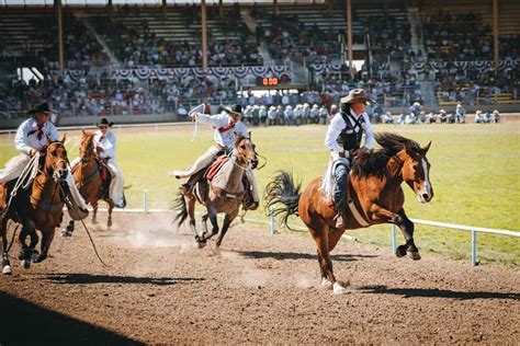 Experience The Thrill Of Oregons Legendary Pendleton Round Up This