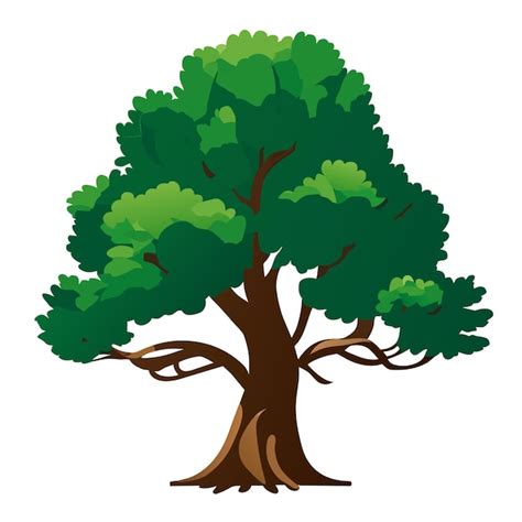 Premium Vector Oak Tree Vector Graphic In Vectorized Flat Style