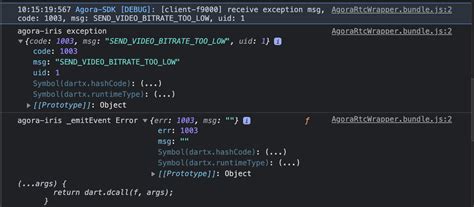 Camera Doesn T Work In Web Example Dev Flutter Branch Issue AgoraIO Extensions Agora