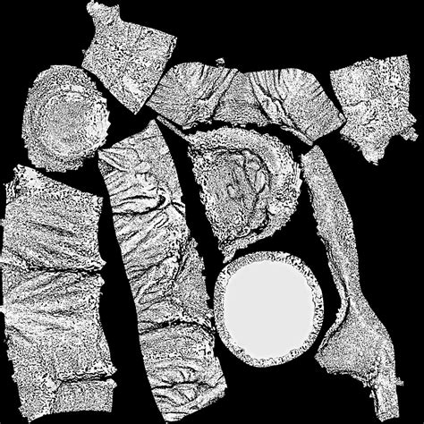 3d Boy Statue Model 1144941 Turbosquid