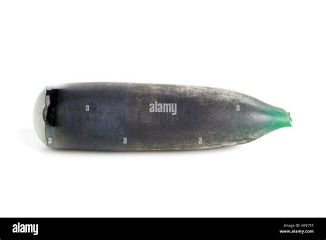 Synthetic Sapphire Boule Produced By The Verneuil Process On White