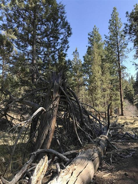 Riley Ranch Trails Oregon Alltrails