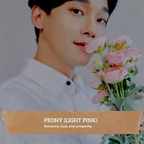 Chennie Chenie Chen Chen Flower Meanings Romance Light Pink