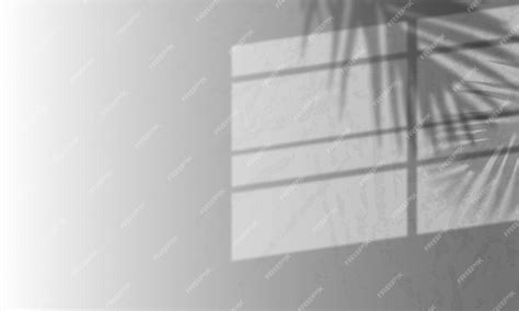 Premium Vector Window Slit Shadow Background And Leaf Shadows