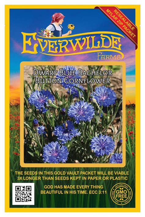 Everwilde Farms 500 Dwarf Blue Bachelor Button Cornflower Flower Seeds