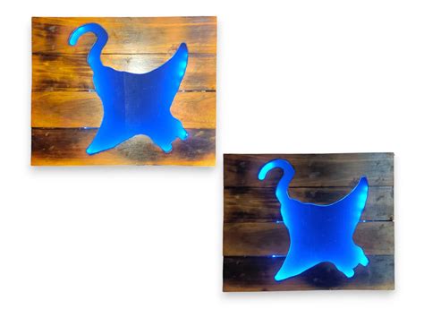 Cuadro Relieve Manta 50x40cmsexto Continente Sa Cuadro Relieve