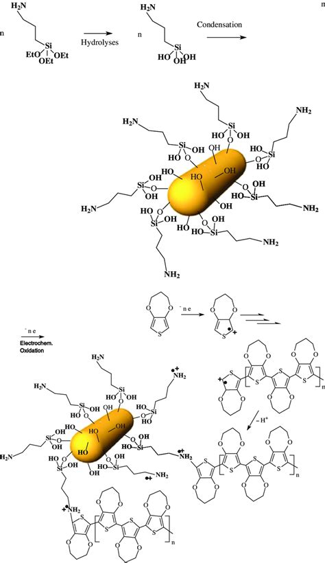 Schematic Illustration Of The Tio 2 Nanorod Surface Modification And