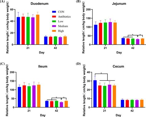Enterococcus Faecium Pnc01 Isolated From The Intestinal Mucosa Of