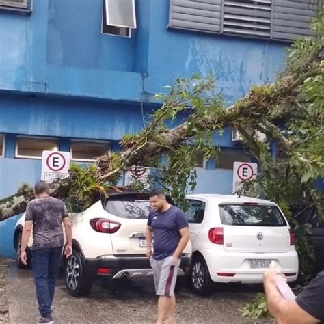 Árvore cai em cima de carros de pacientes no Hospital Regional de