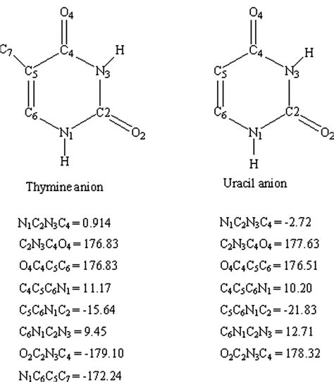 Torsional Angle Values In Degrees For Thymine And Uracil At The