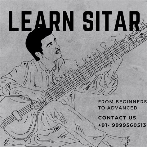 Journey Into The World Of Sitar Sitar Classes In Delhi The Pink