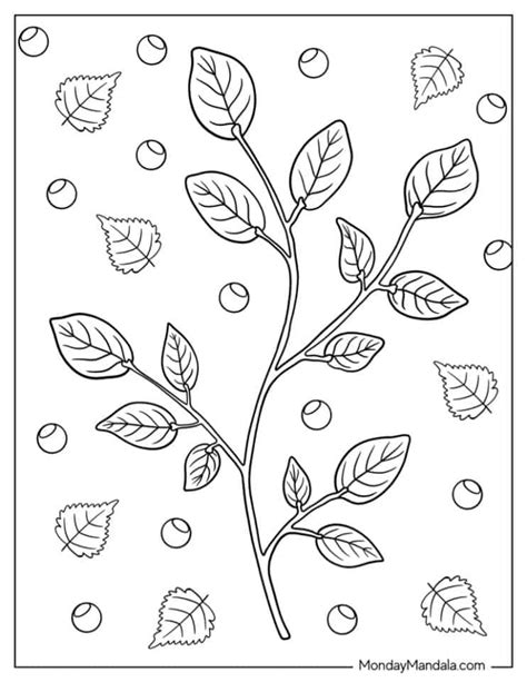 20 Fall Leaves Coloring Pages Free Pdf Printables