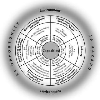 3 Triangle Of Vulnerability Download Scientific Diagram