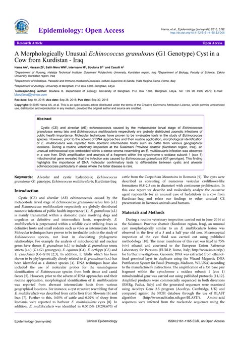 Pdf A Morphologically Unusual Echinococcus Granulosus G1 Genotype