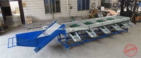 Rotary Drum Type Tomato Size Sorting Grading Machine Tomato Paste