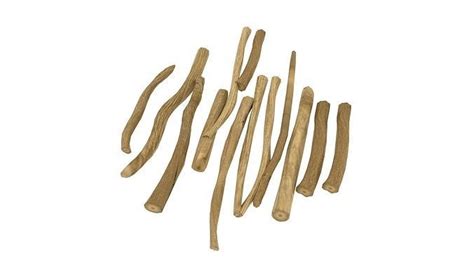 Shatavari Root Asparagus Racemosus 3d Model Cgtrader