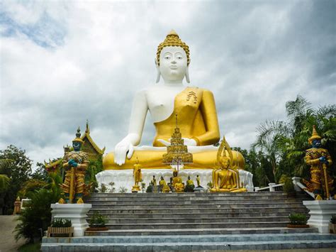 พระองค์ใหญ่บนวัดพระธาตุดอยคำ เกษตรตำบล ศูนย์รวมข้อมูลเกษตร พันธุ์ไม้