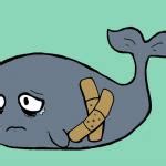 Sad Whale Imgflip