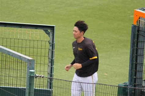 チャリコ遠藤🐝スポニチ虎番🐛にわかエヴェッサ番🏀 On Twitter 浜地真澄 投手🐟 Xf4csrncg0