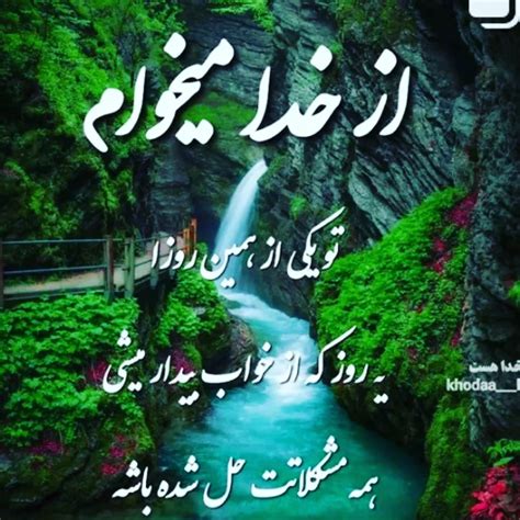 Mojtaba Moradi Mojtaba8835 • Instagram Photos And Videos