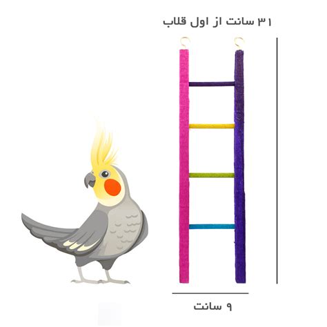 ⭐️ خرید اینترنتی نردبان اسباب بازی پرندگان مدل رنگی کد 31 1403
