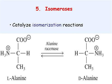 Enzymes Classification Structure Ppt Download Enzymes Classification Structure Ppt Download