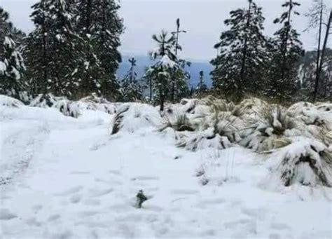 Inusual Manto Blanco Cubre El Cerro De Tancítaro En Michoacán Magnopost