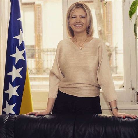 Ambasadorveleposlanik Ambasadaveleposlanstvo Bosne I Hercegovine U