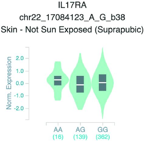Violin Plots Of Relative Gene Expression Impacted By Rs4819958 Eqtl Of