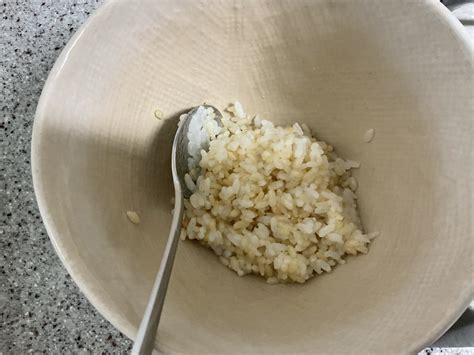 하와이안 연어포케