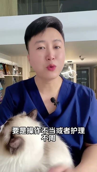 猫咪发情，千万不要去做绝育。 科学养猫 猫咪 猫咪发情 养猫知识 Youtube