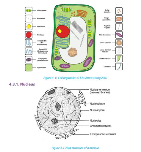 Course S4 Biology Reb