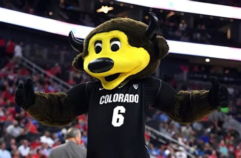 Top 10 College Basketball Mascots Whiteclouds