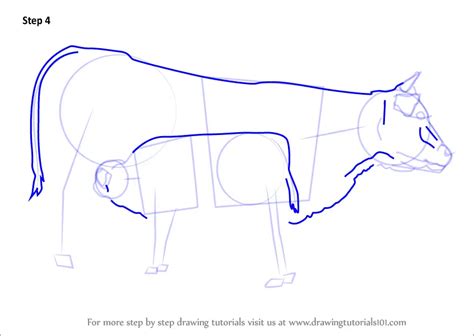 How To Draw Cow And Young Calf Farm Animals Step By Step