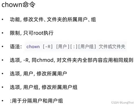 Linux Ln 命令详解与c语言面试题解析 Csdn博客