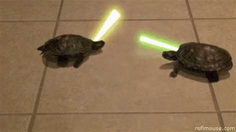 Jedi Lightsabers  Jedi Lightsabers Turtles Discover And Share S