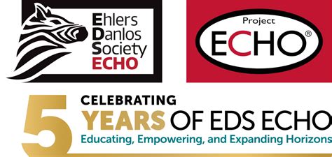 Celebrating 5 Years Of Eds Echo The Ehlers Danlos Society