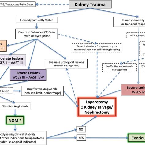 PDF Kidney And Uro Trauma WSES AAST Guidelines