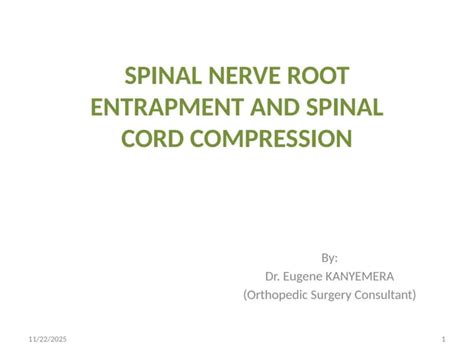 Spinal Nerve Root Entrapment And Spinal Cord Compression Pptx