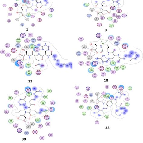Schematic Representation Of The Active Site Of Urease Enzyme 7