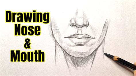 How To Draw A Human Nose And Mouth