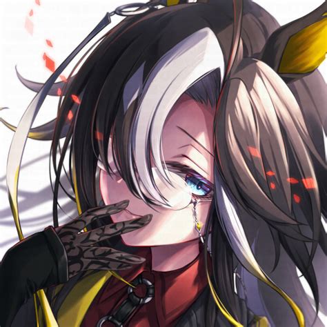 马娘梦之旅赛马娘prettyderby赛马娘pretty Derby图片尺寸571x571 Bobopic