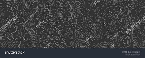 Topographic Map Line Contour Geographic Map Stock Vector Royalty Free