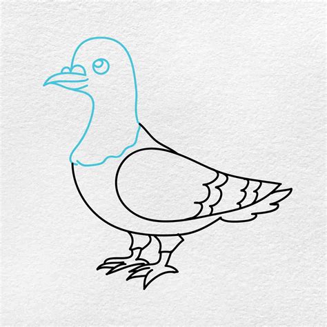 How To Draw A Pigeon Helloartsy