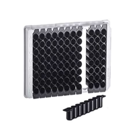 Elisa Plate Stripes At Best Price In Dombivli Maharashtra Igneus