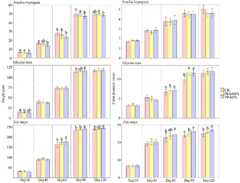 Effects Of Polyester And Polypropylene Microplastic Fibers Addition On