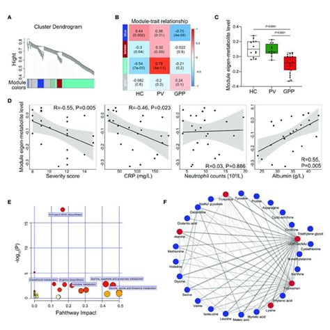 Metabolite Co Abundant Network Analysis A Network Cluster Download Scientific Diagram