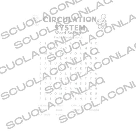 Circulatory System Percorso Clil Di Scienze • Edudoro