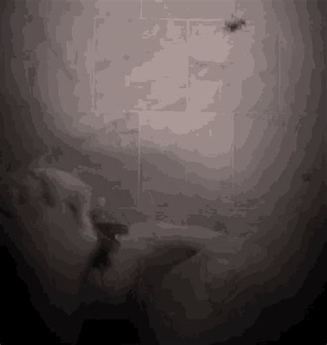 Jared Padalecki Jarevieve  Jared Padalecki Jarevieve Shirtless