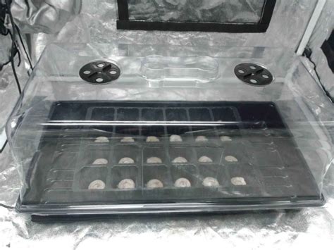 Hydroponics Seed Starter Kit Suburban Farmer